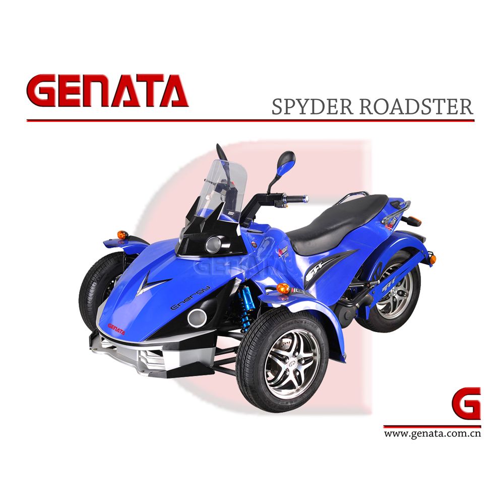 🛴250cc Three Wheels Racing ATV (GTX250MB) - Chinamotorscooter.com
