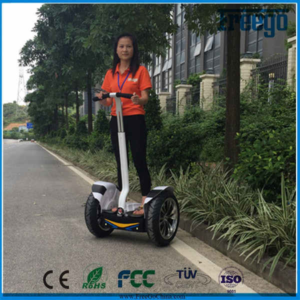 🛴Stand up Electric Kick Scooter, 2 Person Electric Scooter 1500W ...