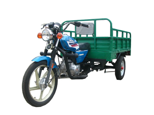 🛴Three Wheel Motorcycle (DF110) - Chinamotorscooter.com