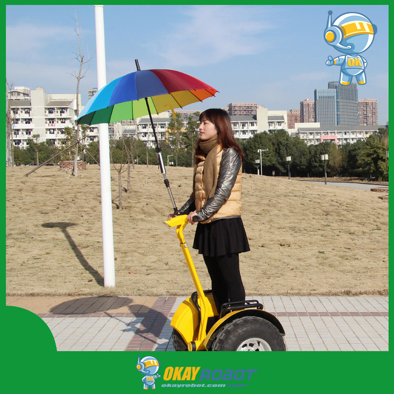 Okayrobot Mobility Scooter, Electric Mobility Scooters for Human ...