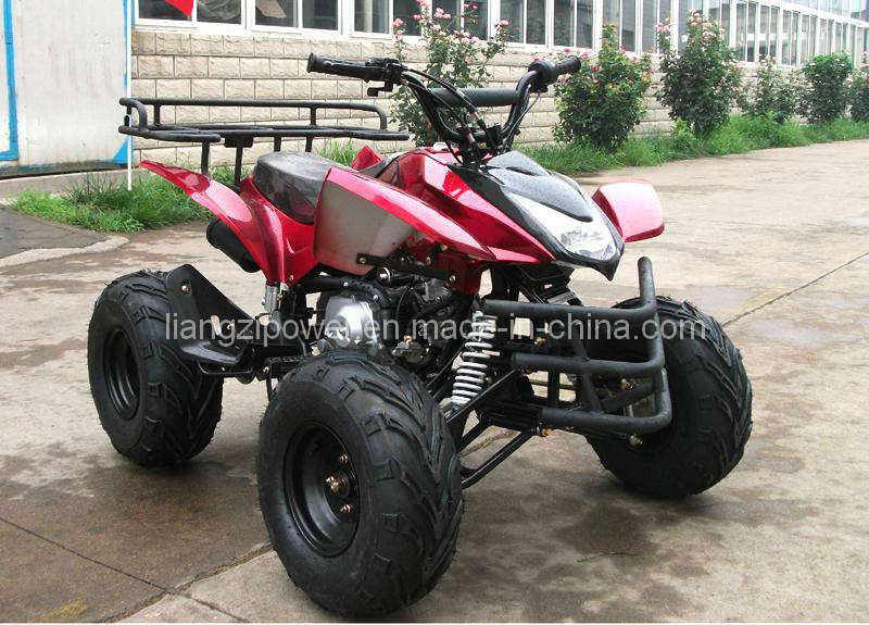 110CC ATV Quad 2WD (ATV LZ110-6) - Chinamotorscooter.com