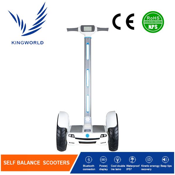 🛴Two Wheel Stand up Electric Adult Scooter - Chinamotorscooter.com