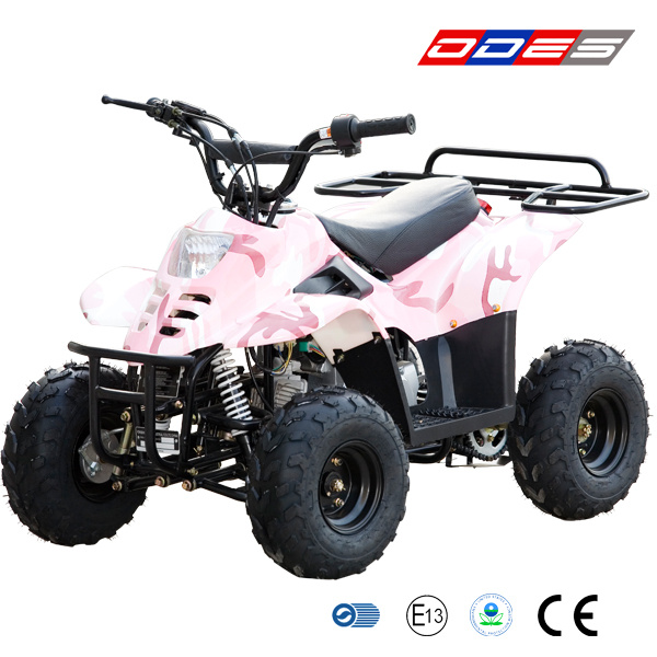 110CC ATV (LZ110-2) - Chinamotorscooter.com