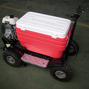 🛴Racing Cooler Scooter (SX-G110) - Chinamotorscooter.com