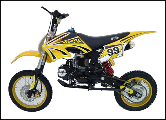 110cc/125cc Dirt Bike (DG-DB125B) - Chinamotorscooter.com