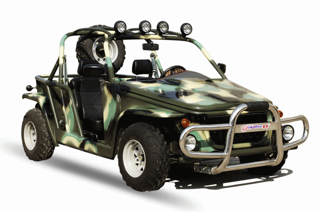 1000CC Go Kart (2008NEW) - Chinamotorscooter.com