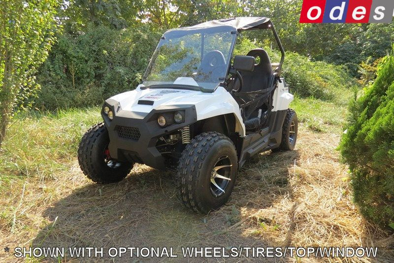 150CC UTV (LZ150-1) - Chinamotorscooter.com