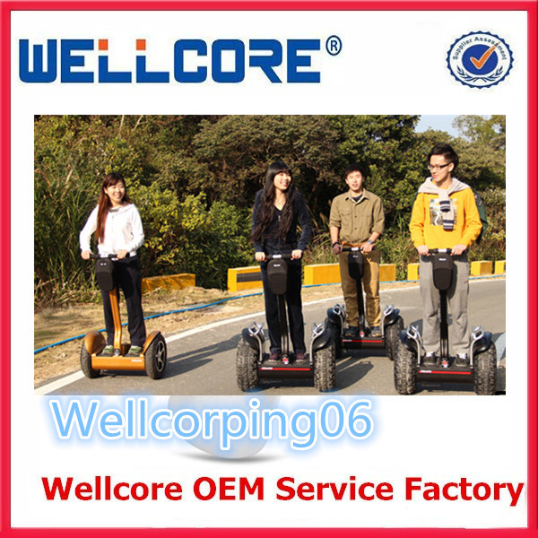 🛴2 Wheel Electric Self Balancing Standing up Scooter ...