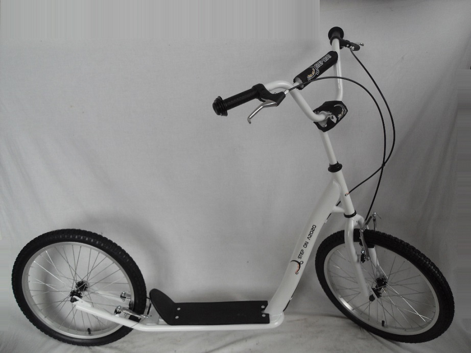 🛴20" Steel Frame Kick Scooter (H2020) - Chinamotorscooter.com