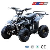 Shandong Liangzi Power Co., Ltd. - Chinamotorscooter.com