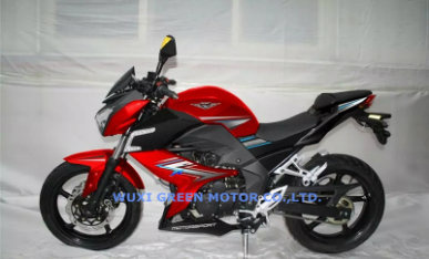 300cc/250cc/200cc/150cc Sport Motorcycle with Oil-Cooled Engine (KUGA ...