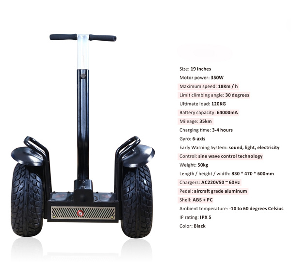 Two Wheel Self Balancing Stadning Electric Scooter - Chinamotorscooter.com