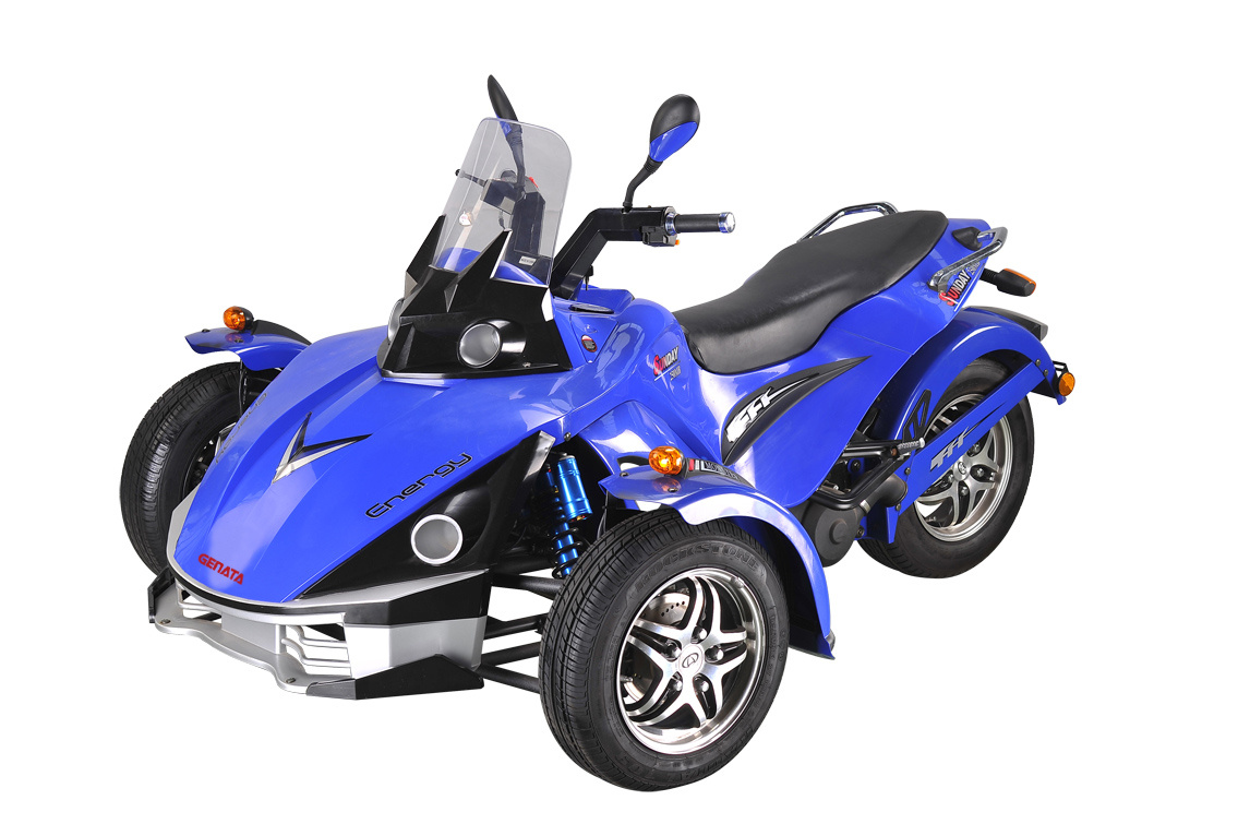 🛴250cc Three Wheels Racing ATV (GTX250MB) - Chinamotorscooter.com
